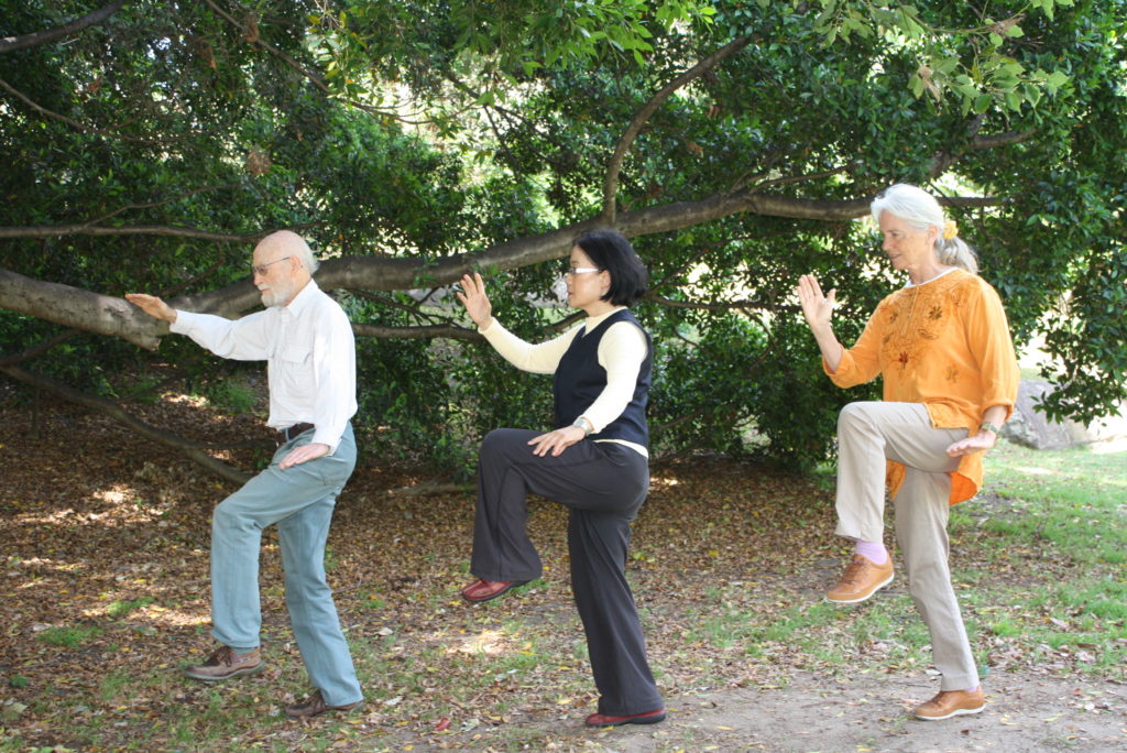 Traditional Qi Tai Chi Qi Gong For Better Health